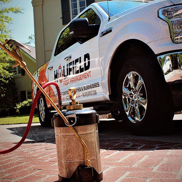 Trusted Pest Control in Central & South Mississippi